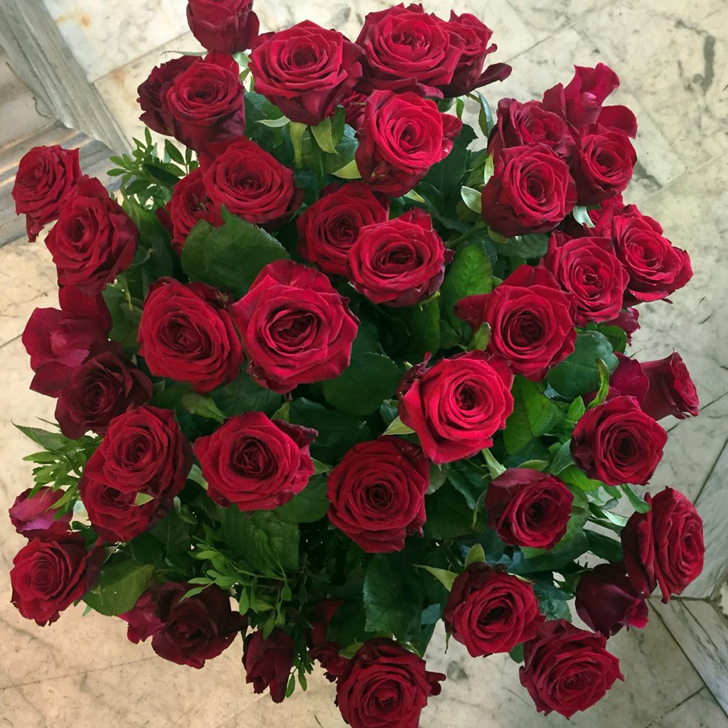 Rote Rosen - Blumen Hajek